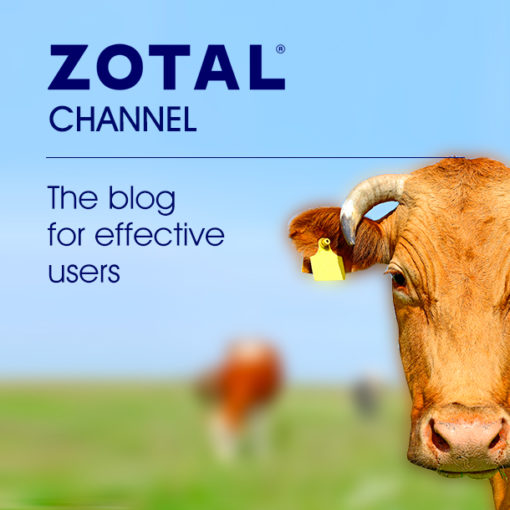 Expertos en bioseguridad | Zotal Laboratorios