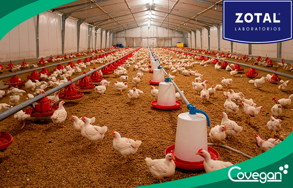 Expertos en bioseguridad | Zotal Laboratorios